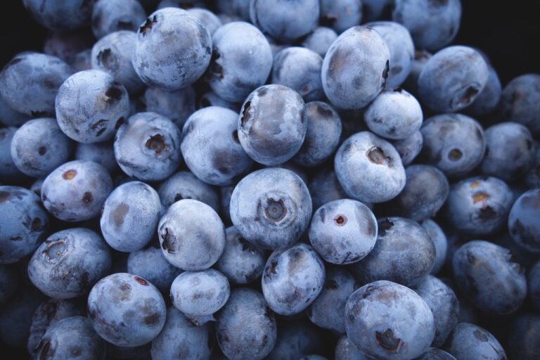 55+ Positive Food Affirmations for a Healthy Lifestyle - Good Food Mama